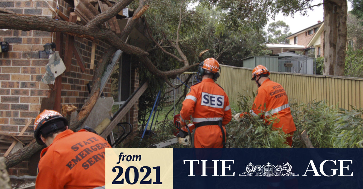 Internal Report Confirms Harassment Sex Discrimination In The Ses
